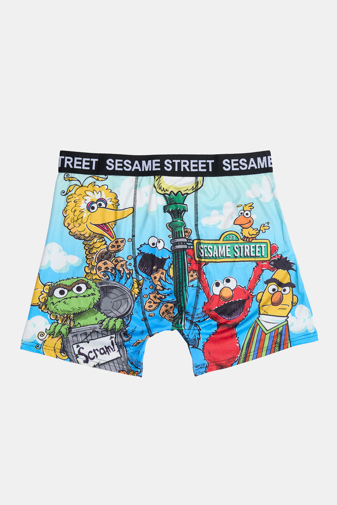 Mens Sesame Street Printed Boxer Brief – Amnesia
