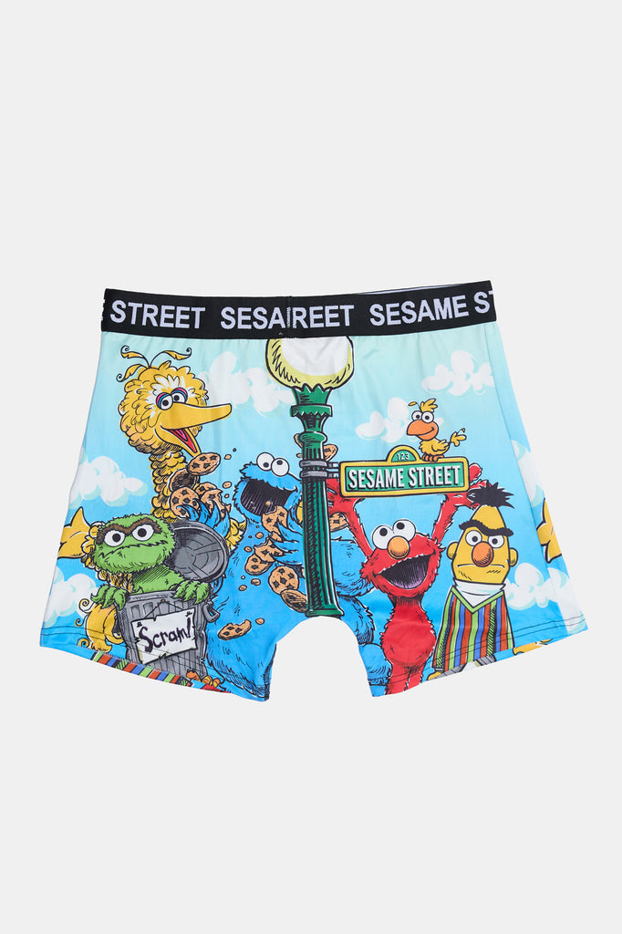 Mens Sesame Street Printed Boxer Brief – Amnesia