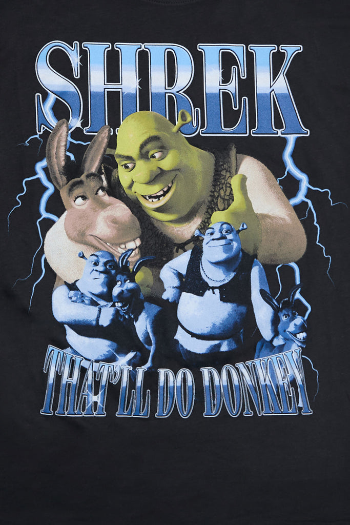 Shrek And Donkey Graphic Relaxed Tee – Amnesia